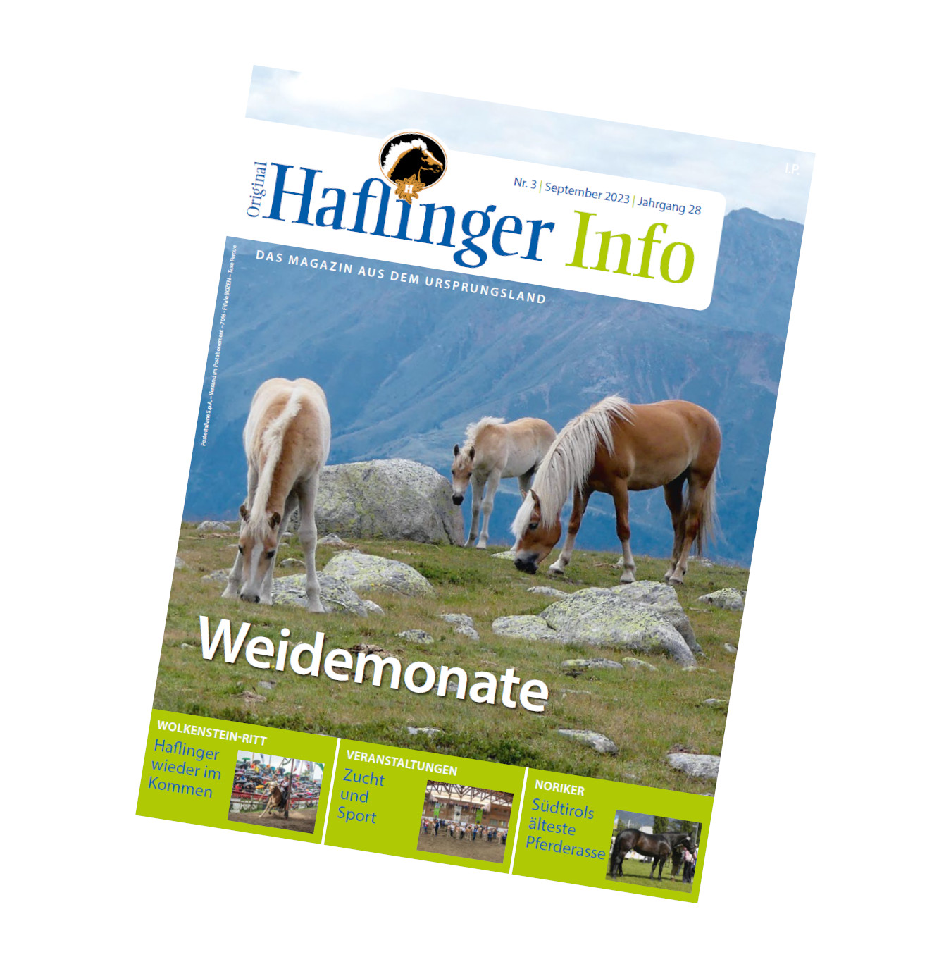 Südtiroler Haflinger Pferdezuchtverband - Offizielle Website
