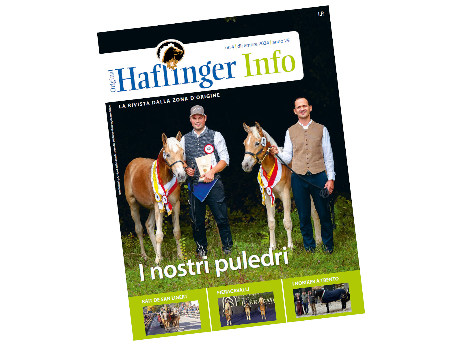 Stalloni 2025 • haflinger.eu