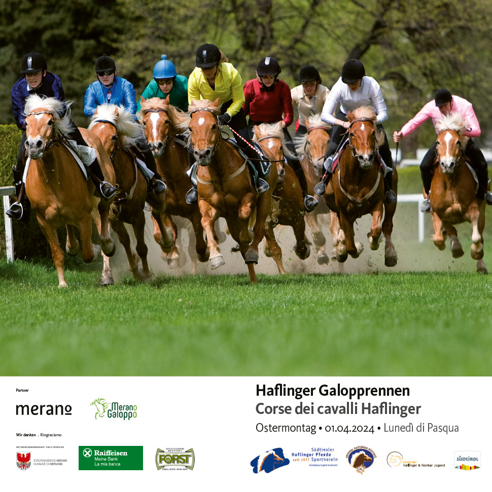 Events • haflinger.eu